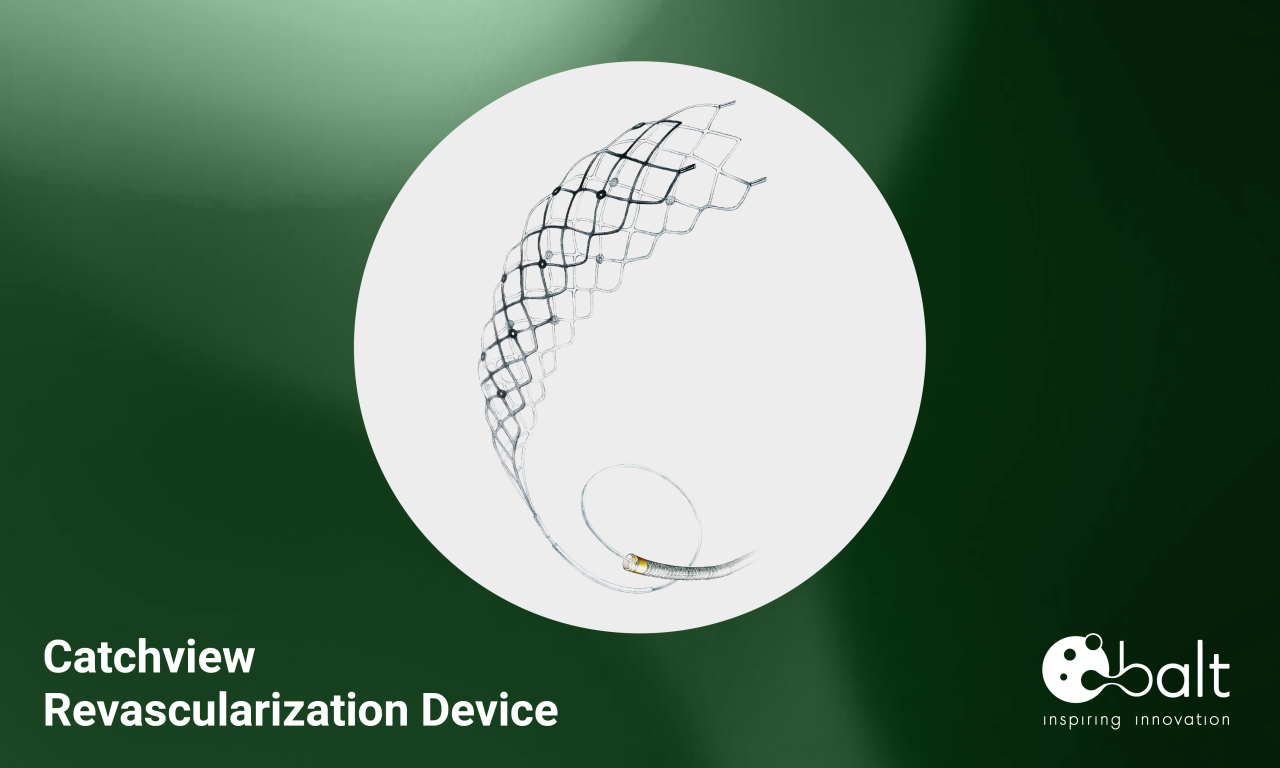 Evaluación de CATCHVIEW versus Stent Retriever estándar para el ...